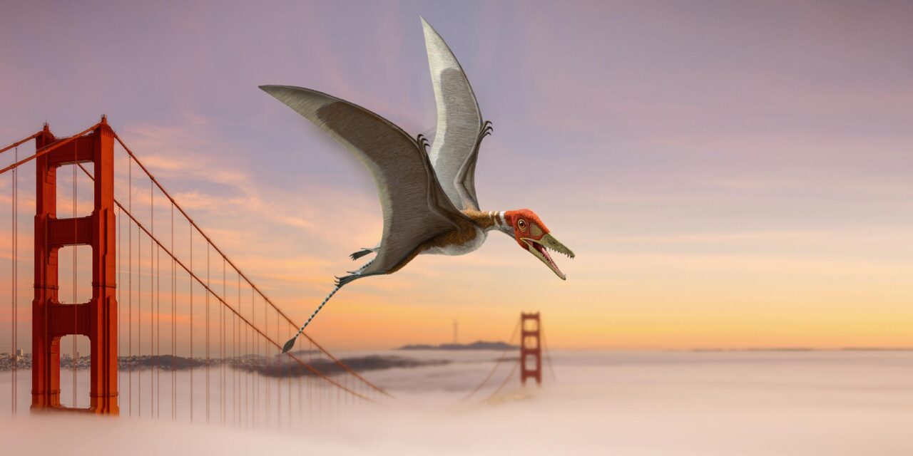 WORK | Ron Foth Advertising